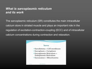 Physiology of muscles contraction.ppt