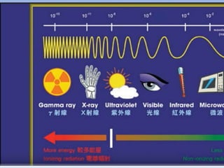 Bio physics presentation | PPT