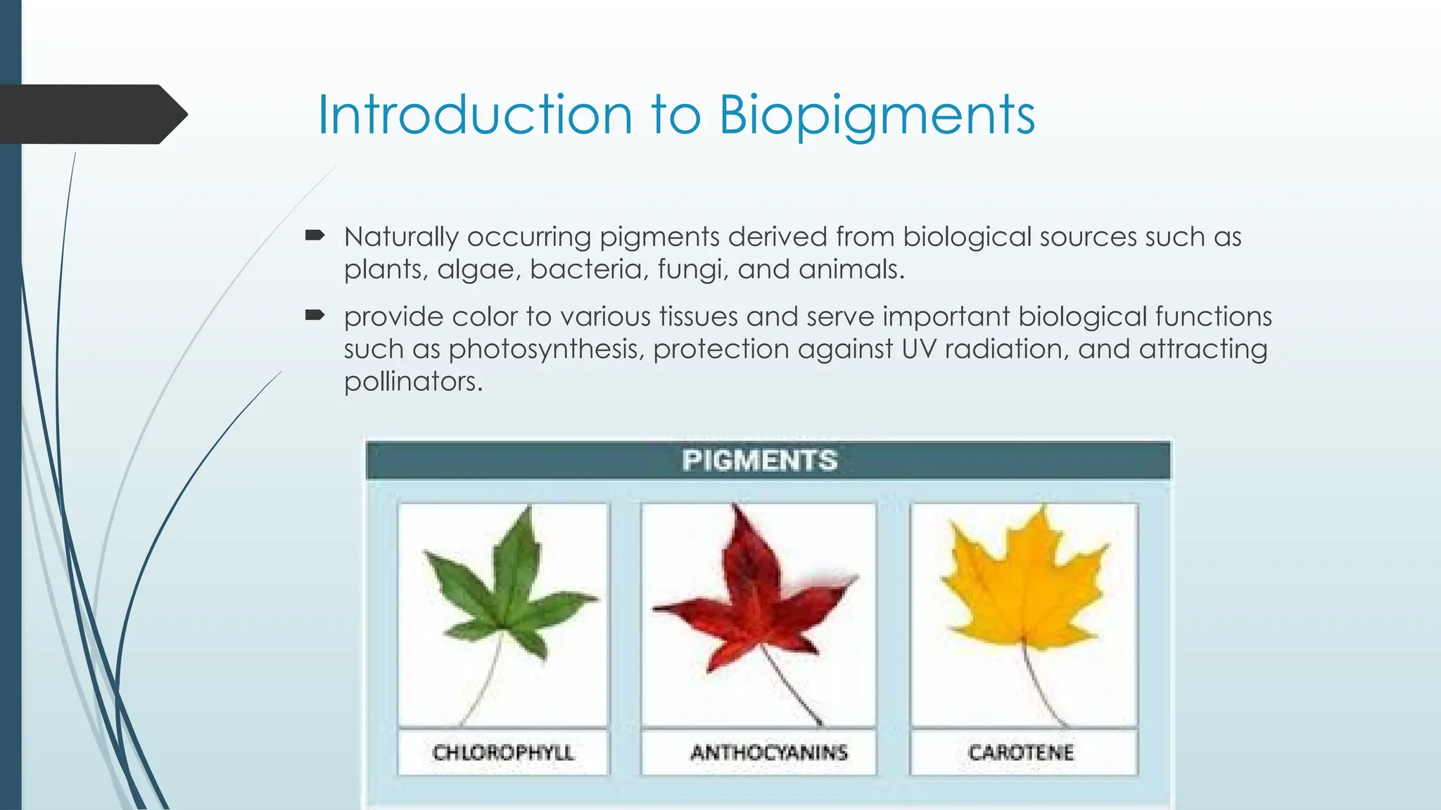 Introduction to Biopigment Production (Types of Biopigments) | PPTX