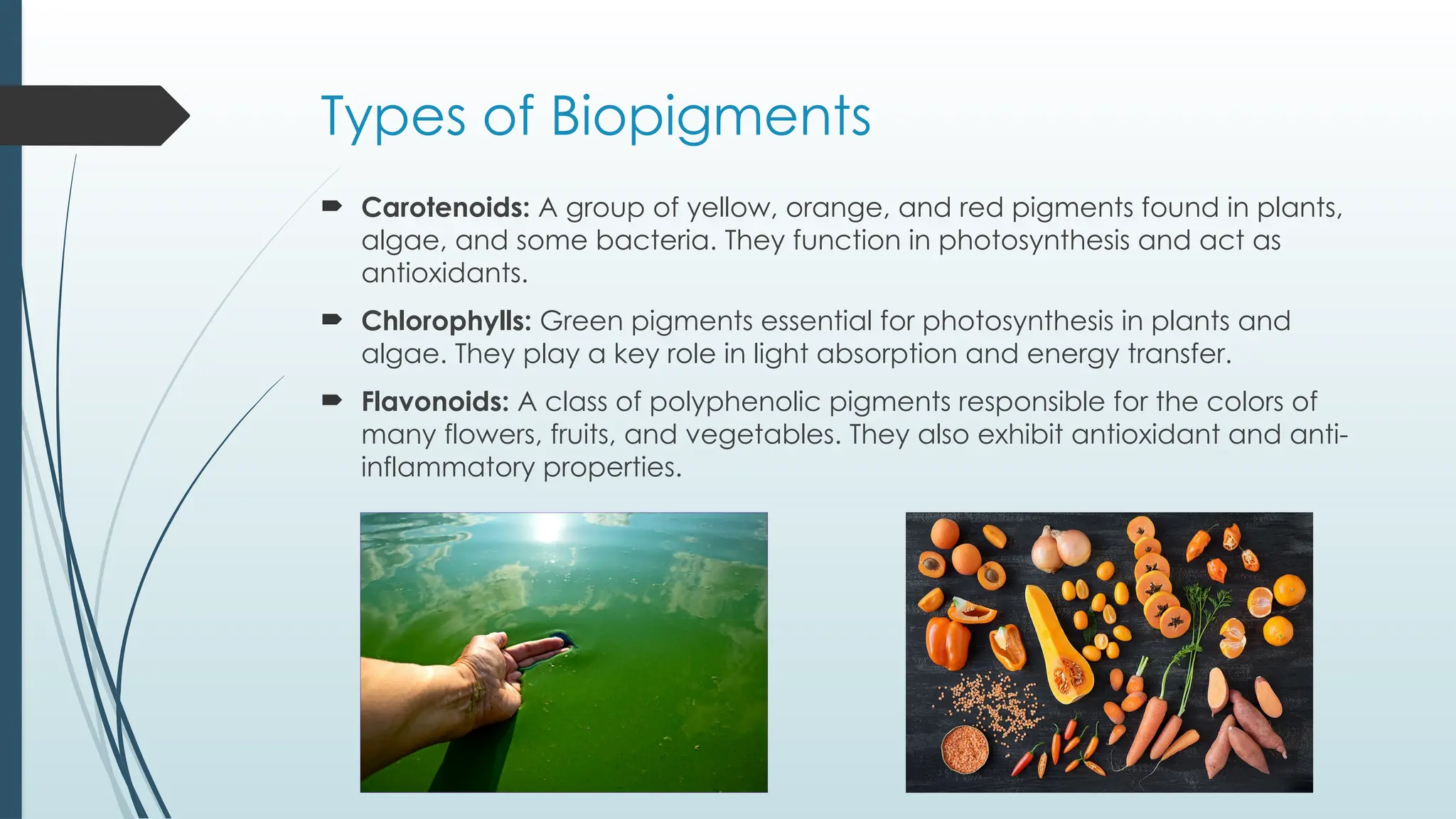 Introduction to Biopigment Production (Types of Biopigments) | PPTX
