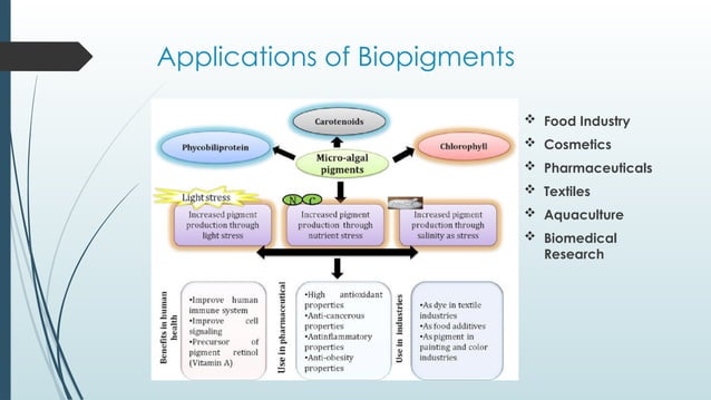 Introduction to Biopigment Production (Types of Biopigments) | PPTX