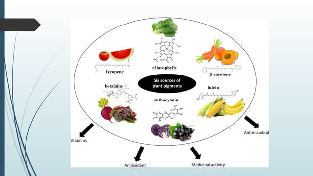 Introduction to Biopigment Production (Types of Biopigments) | PPTX