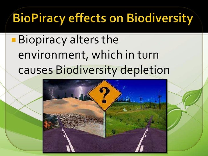 Biopiracy and its effect on Biodiversity