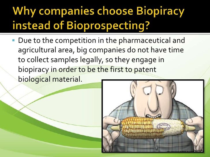 Biopiracy and its effect on Biodiversity