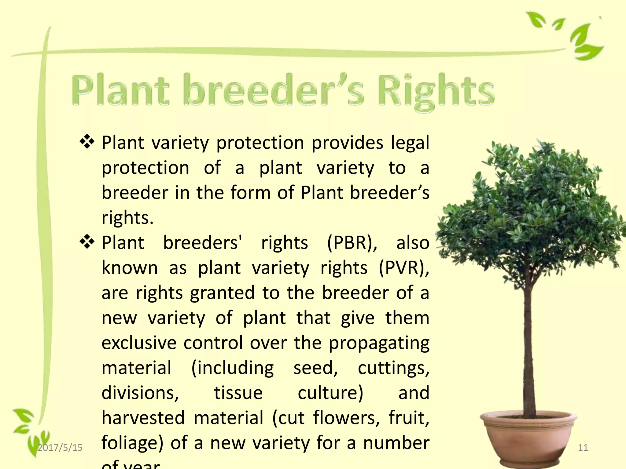 Bio piracy and bio prospecting farmers rights and plant breeder rights ...