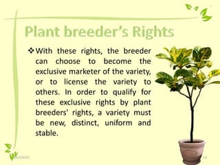 Bio piracy and bio prospecting farmers rights and plant breeder rights ...