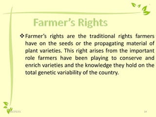 Bio piracy and bio prospecting farmers rights and plant breeder rights ...