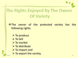 Bio piracy and bio prospecting farmers rights and plant breeder rights ...