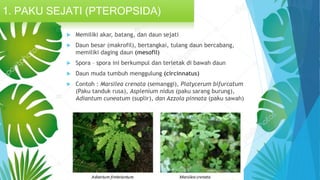 STRUKTUR ORGANISASI TUBUH TUMBUHAN | PPTX