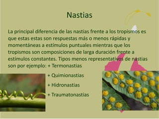 Bioplantaspdf | PDF