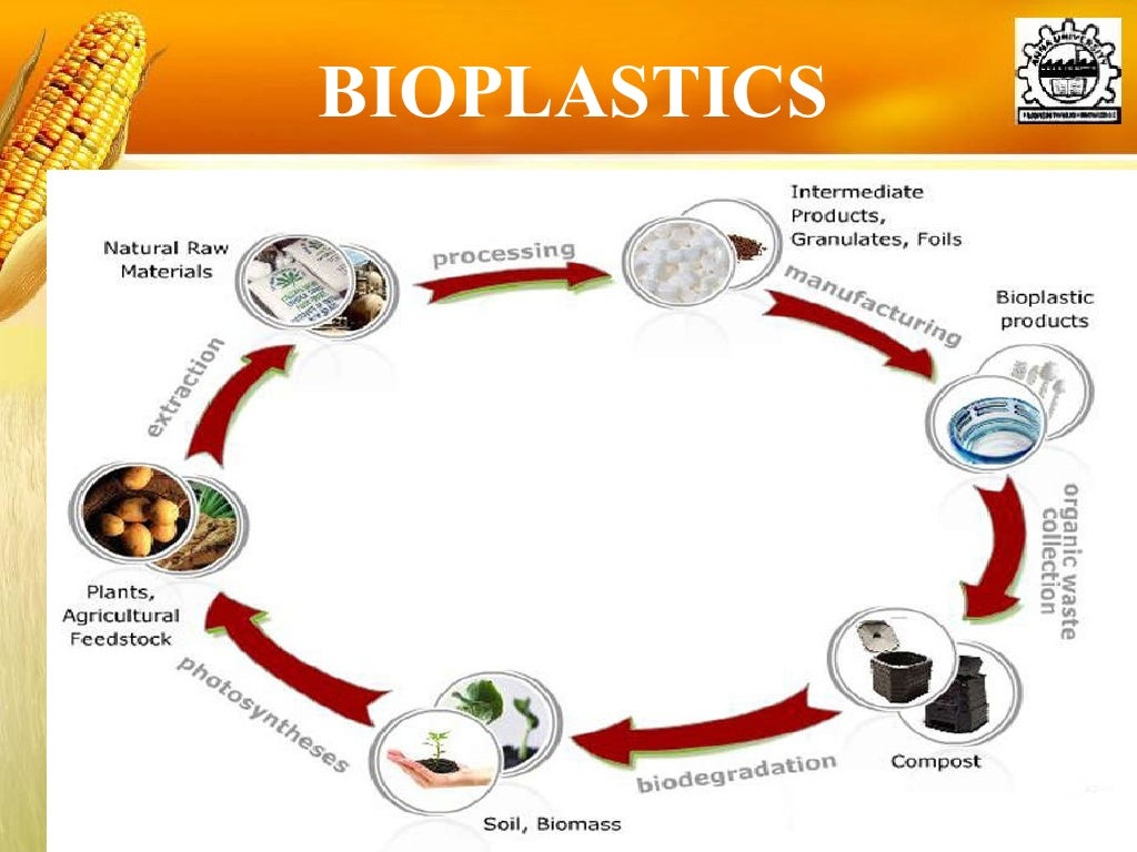 Bioplastic