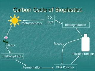 bioplastic-produced-by-microorganisms.pdf