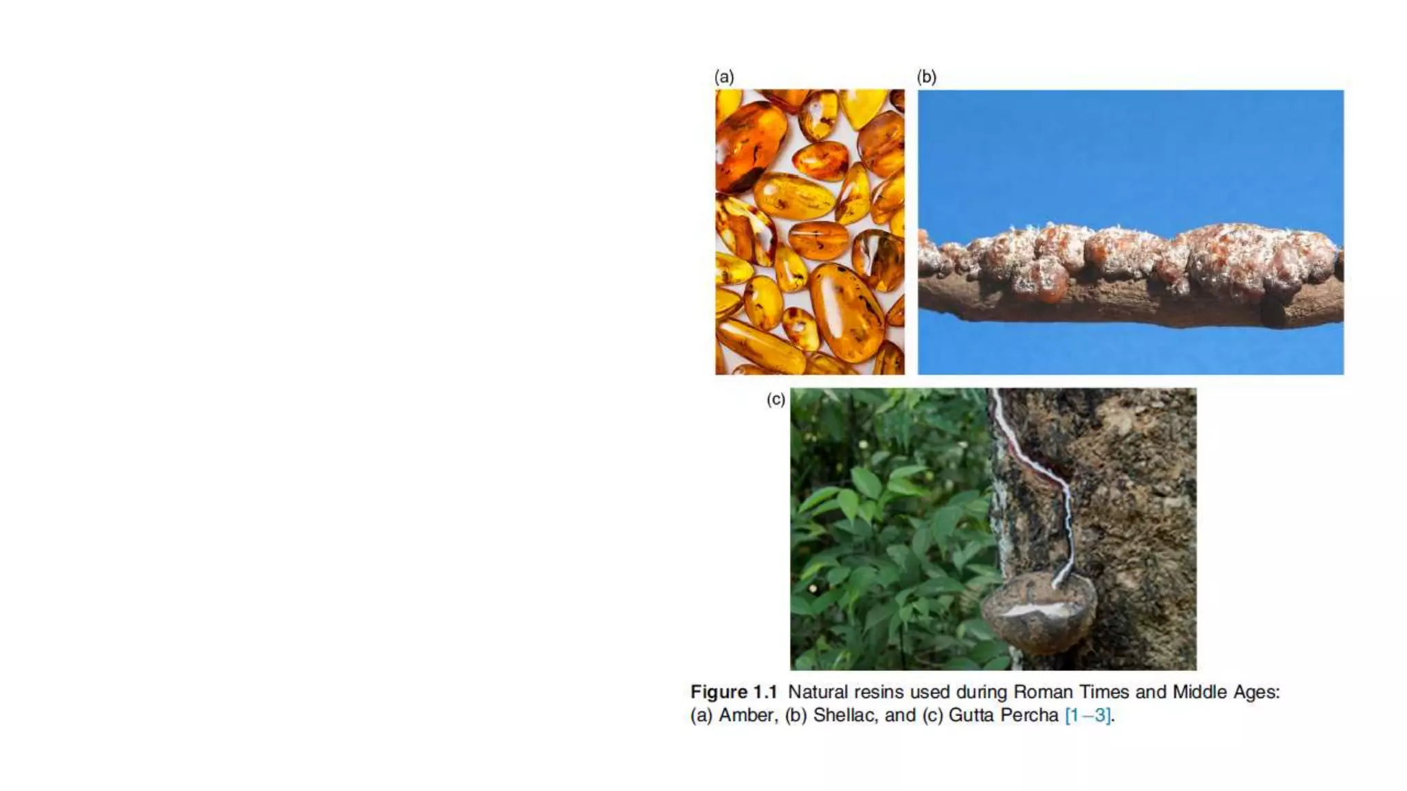 Bioplastic and Biocomposit.pptx