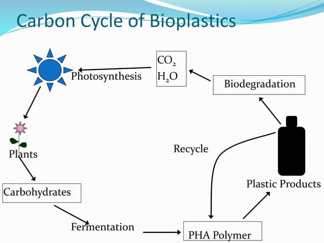 Bioplastic | PPTX | Chemistry | Science