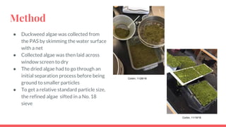 Bioplastic from Algae | PPTX