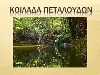 ΒΙΟΠΟΙΚΙΛΟΤΗΤΑ ΡΟΔΟΥ | PPTX