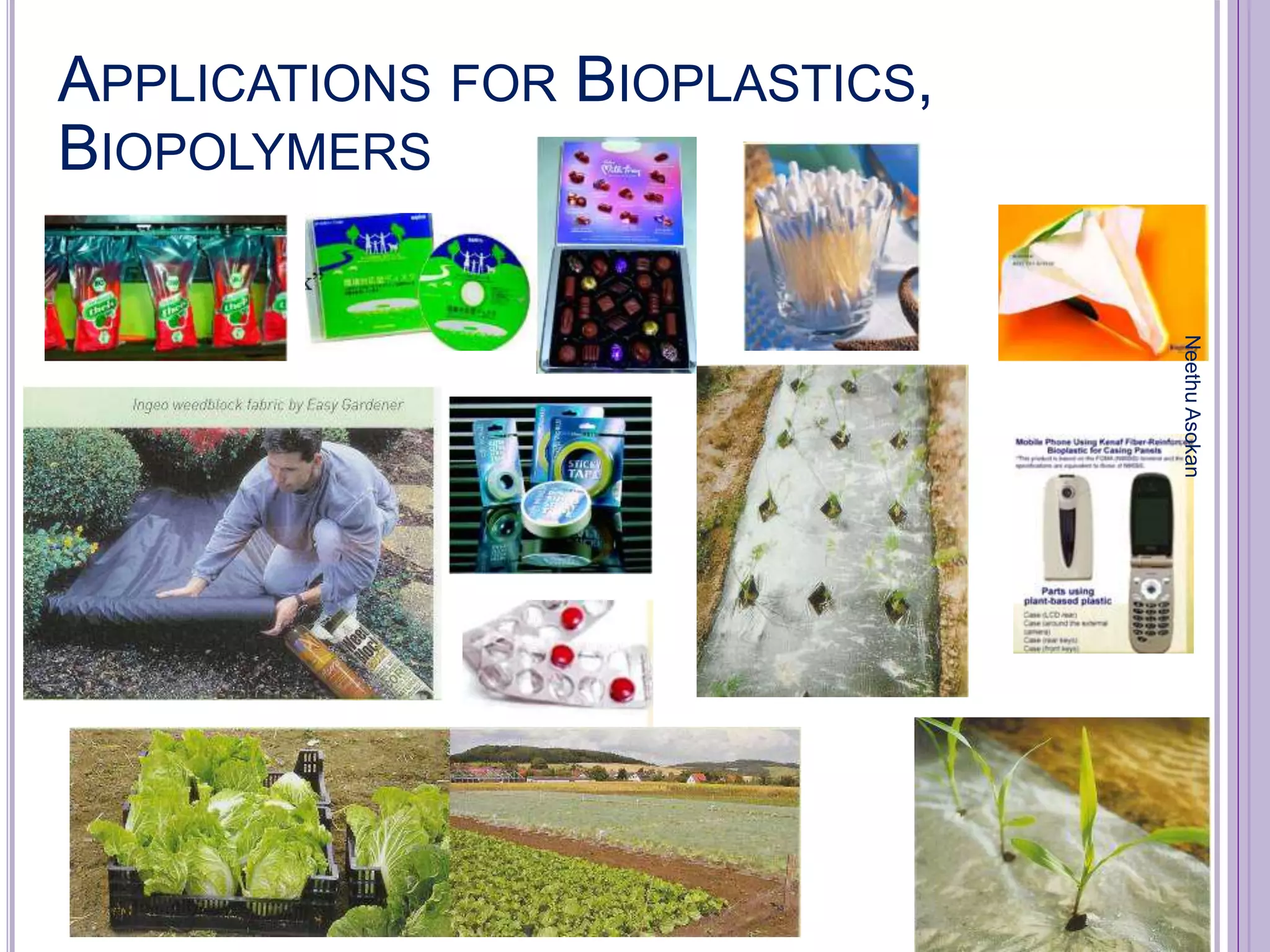 Biopolymer | PPTX