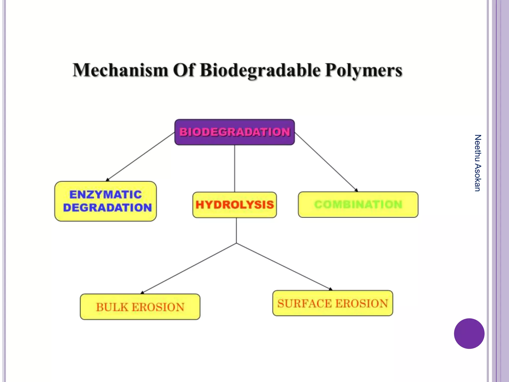 Biopolymer | PPTX