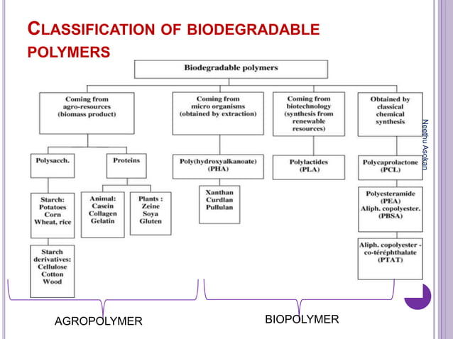 Biopolymer | PPTX | Chemistry | Science