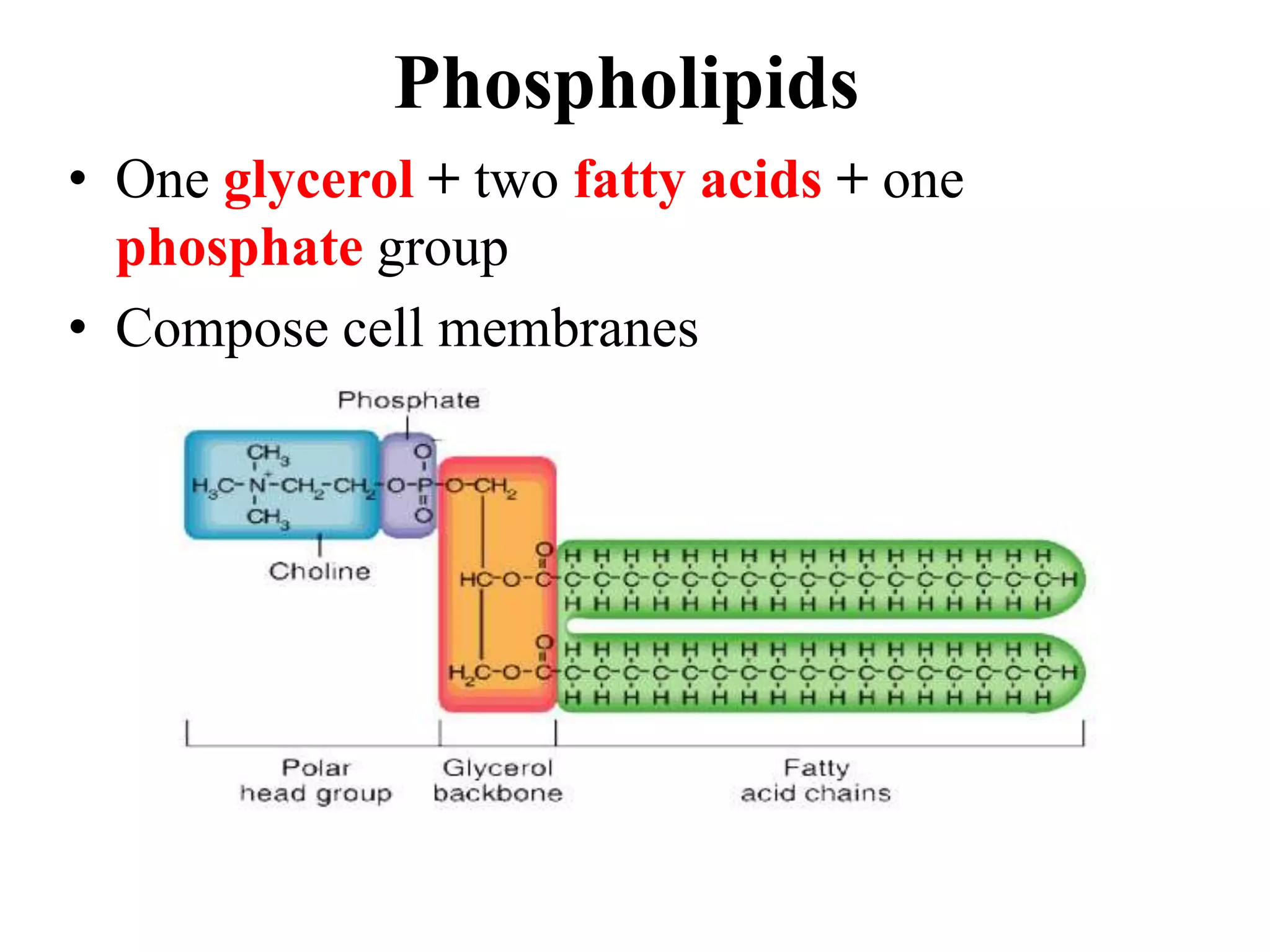 Biopolymer lecture 1 | PPTX