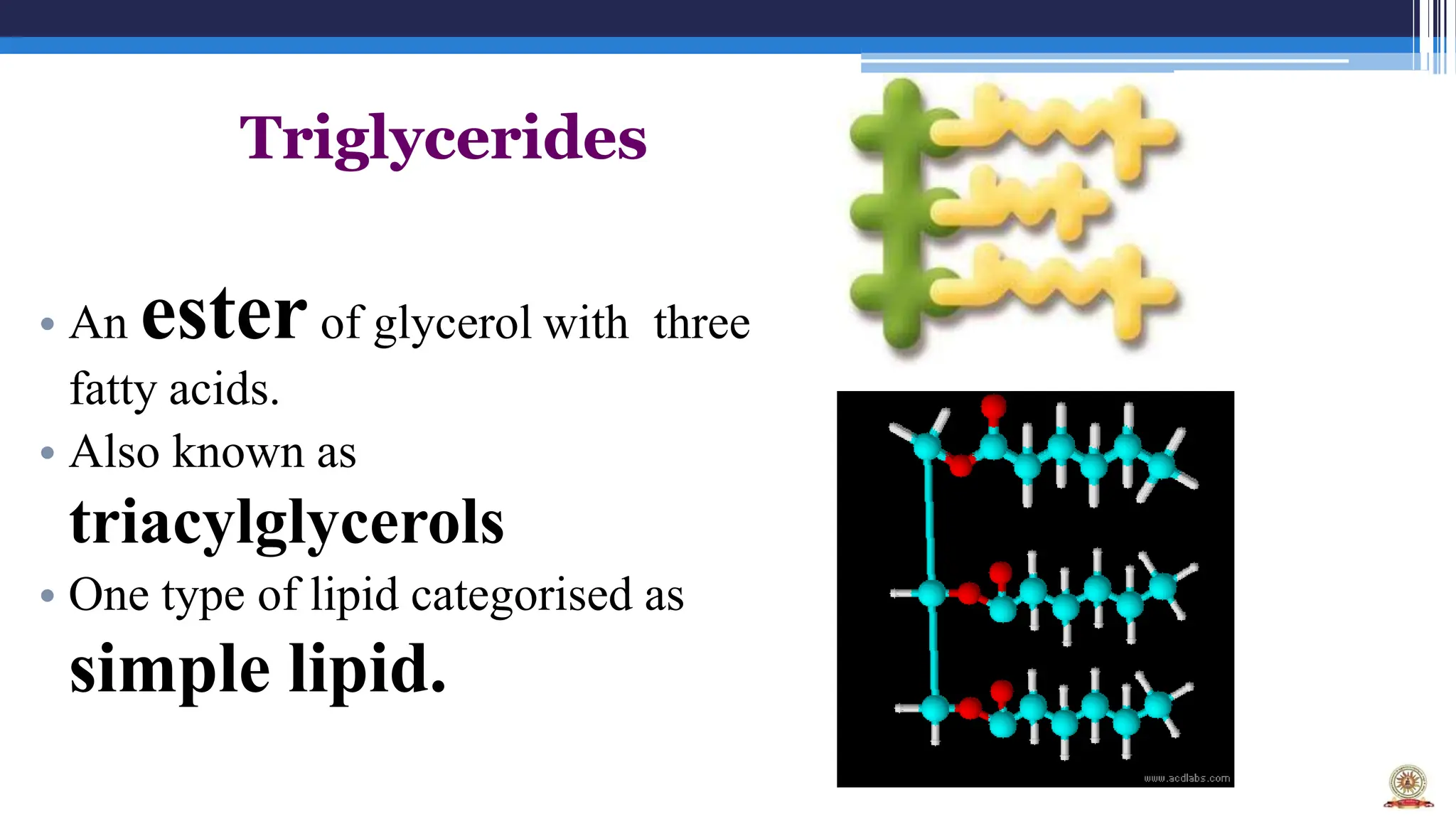 Lipids as Biopolymer | PPTX