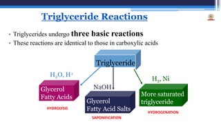Lipids as Biopolymer | PPT