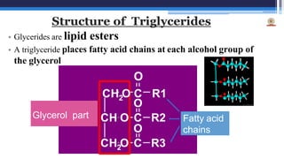 Lipids as Biopolymer | PPT