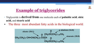 Lipids as Biopolymer | PPT
