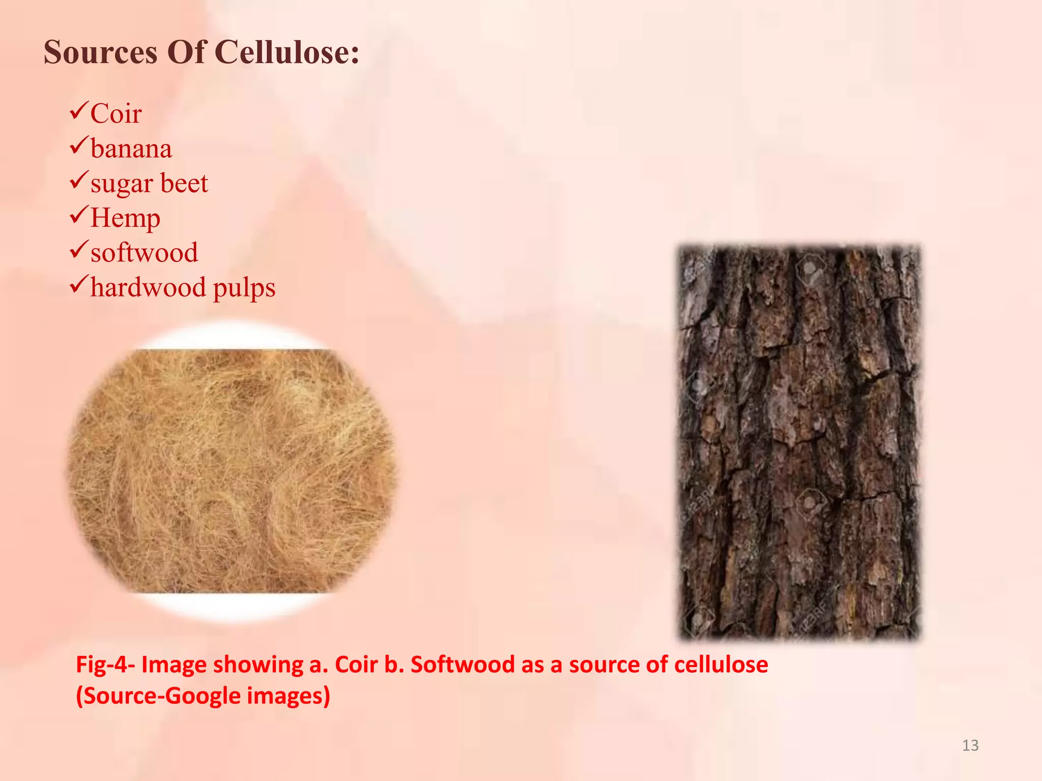 Biopolymers | PPTX