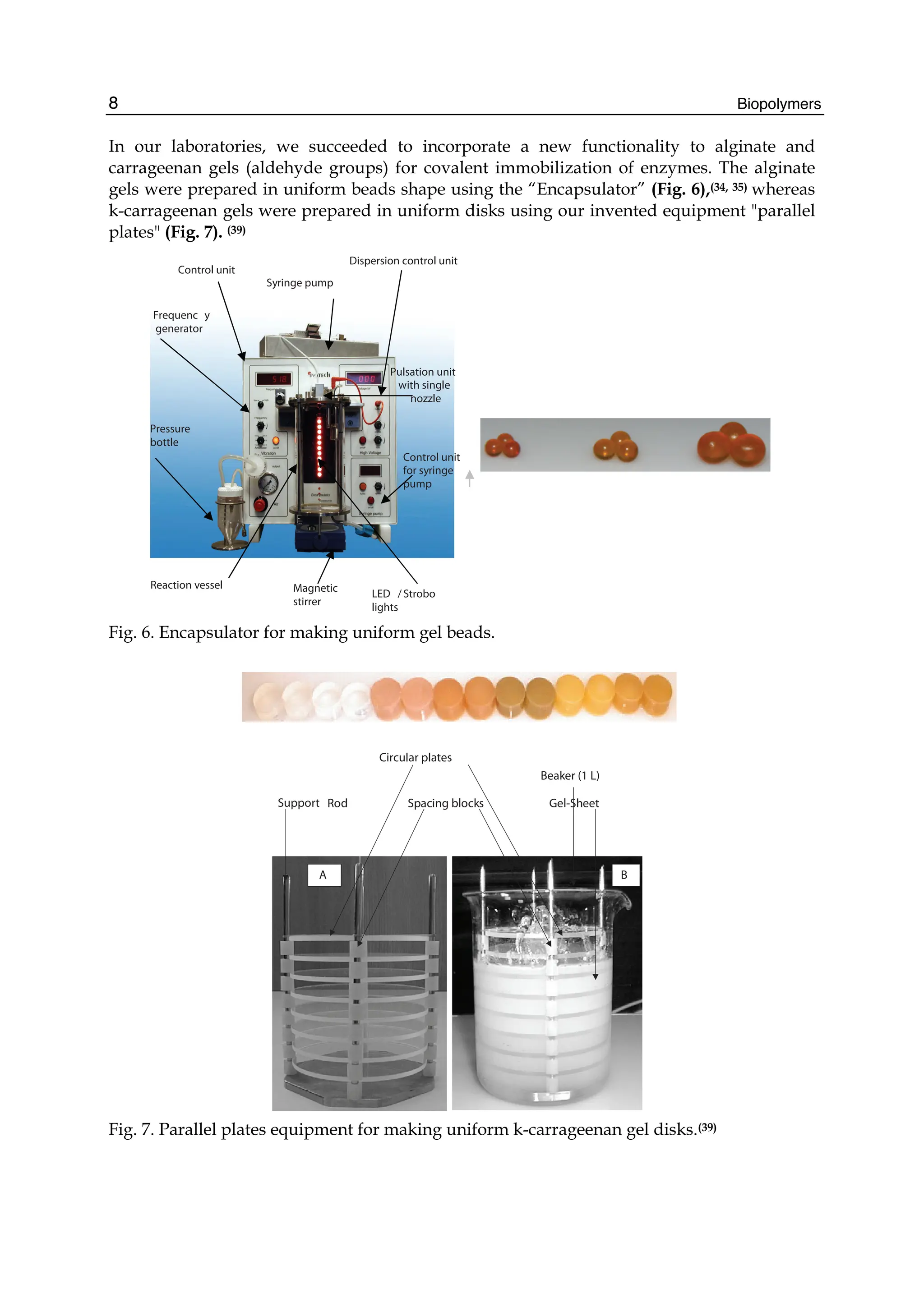 Biopolymers and their types & applications.pdf