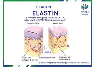 .pdfbio polymers and elastin Bio Medical | PDF | Chemistry | Science
