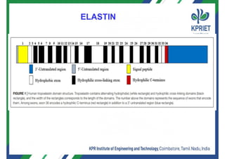 .pdfbio polymers and elastin Bio Medical | PDF | Chemistry | Science