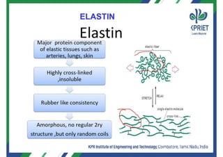 .pdfbio polymers and elastin Bio Medical | PDF | Chemistry | Science