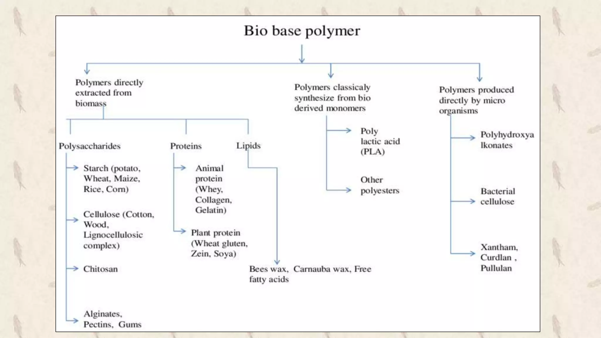 Biopolymers Likhith K | PPTX