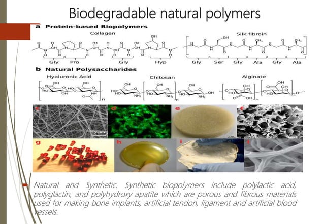 Biopolymers presentation | PPTX | Chemistry | Science