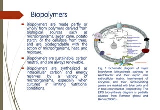 Biopolymers presentation | PPTX