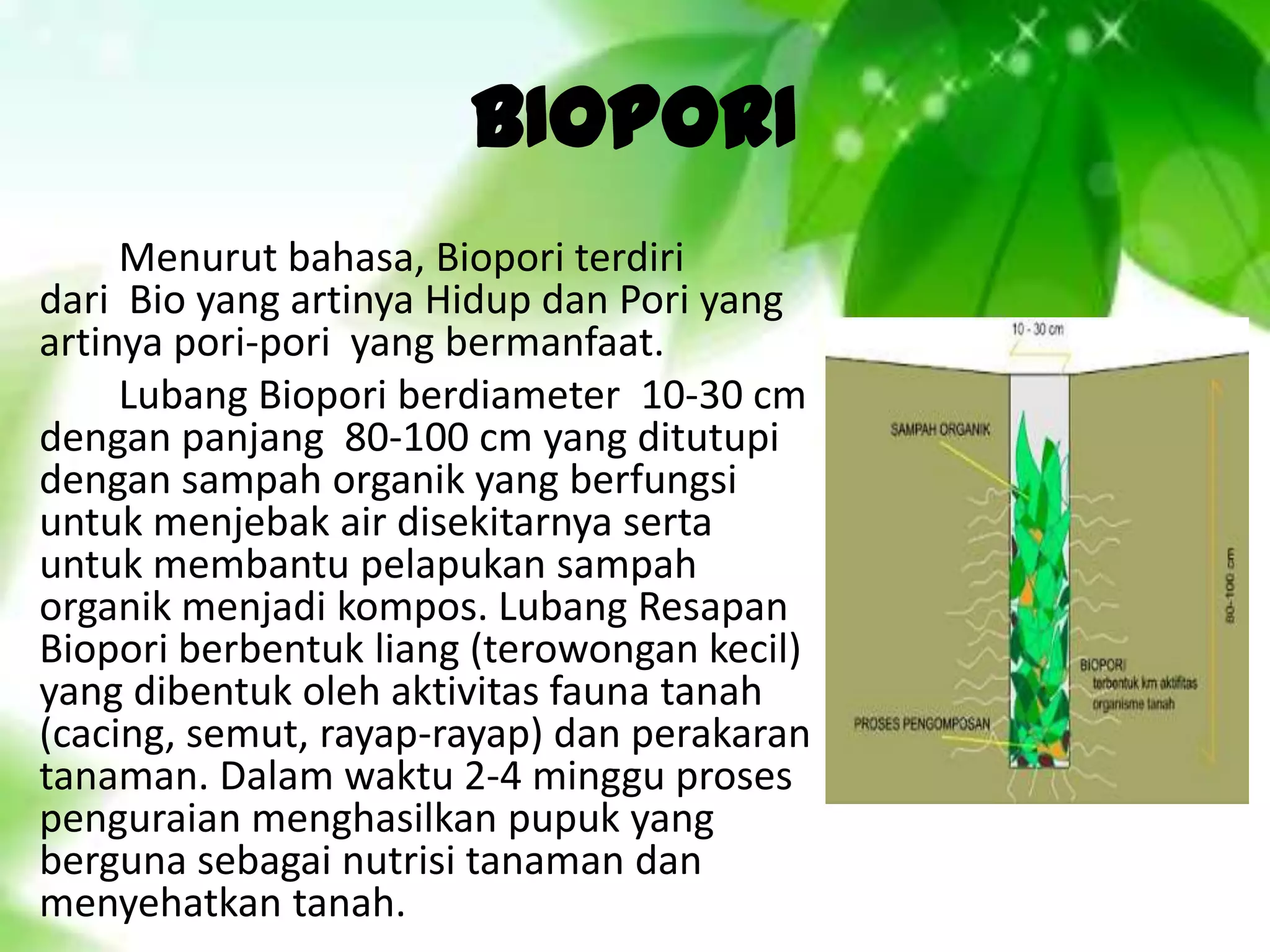 Biopori | PPTX
