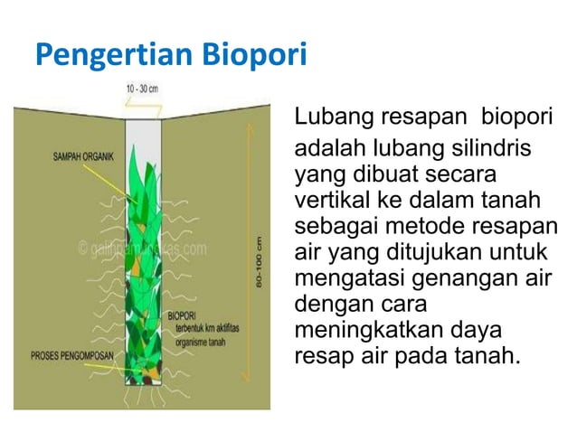 BIOPORI.pptx biopori biopori biopori biopori | PPTX