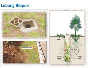 BIOPORI.pptx biopori biopori biopori biopori | PPTX