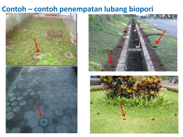 BIOPORI.pptx biopori biopori biopori biopori | PPTX