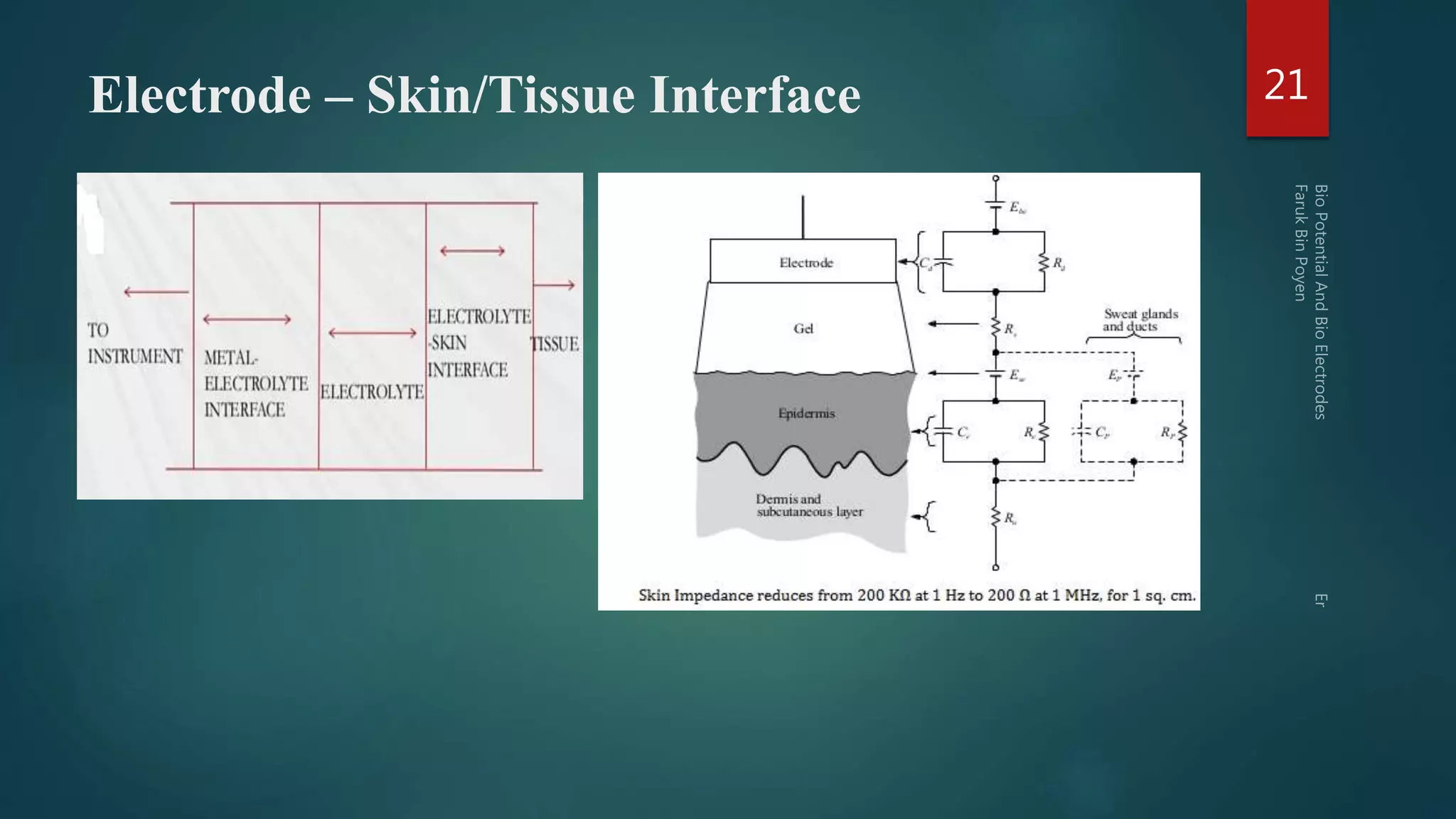 Bio Potential and Bio Electrodes | PDF