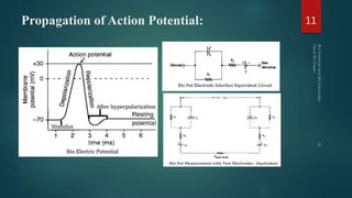 Bio Potential and Bio Electrodes | PDF