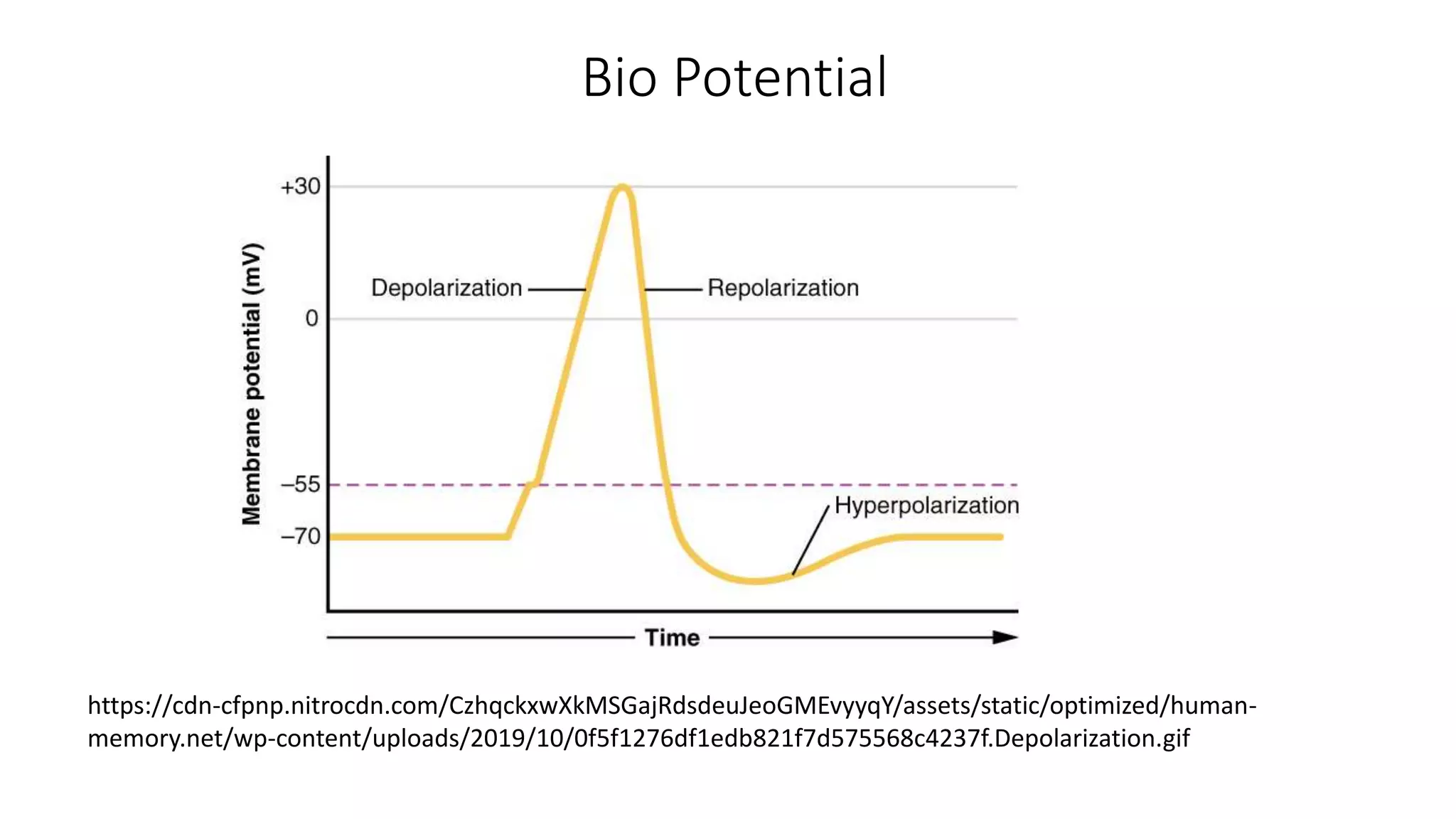 Bio Potential Generation and Bio Electrode.pptx