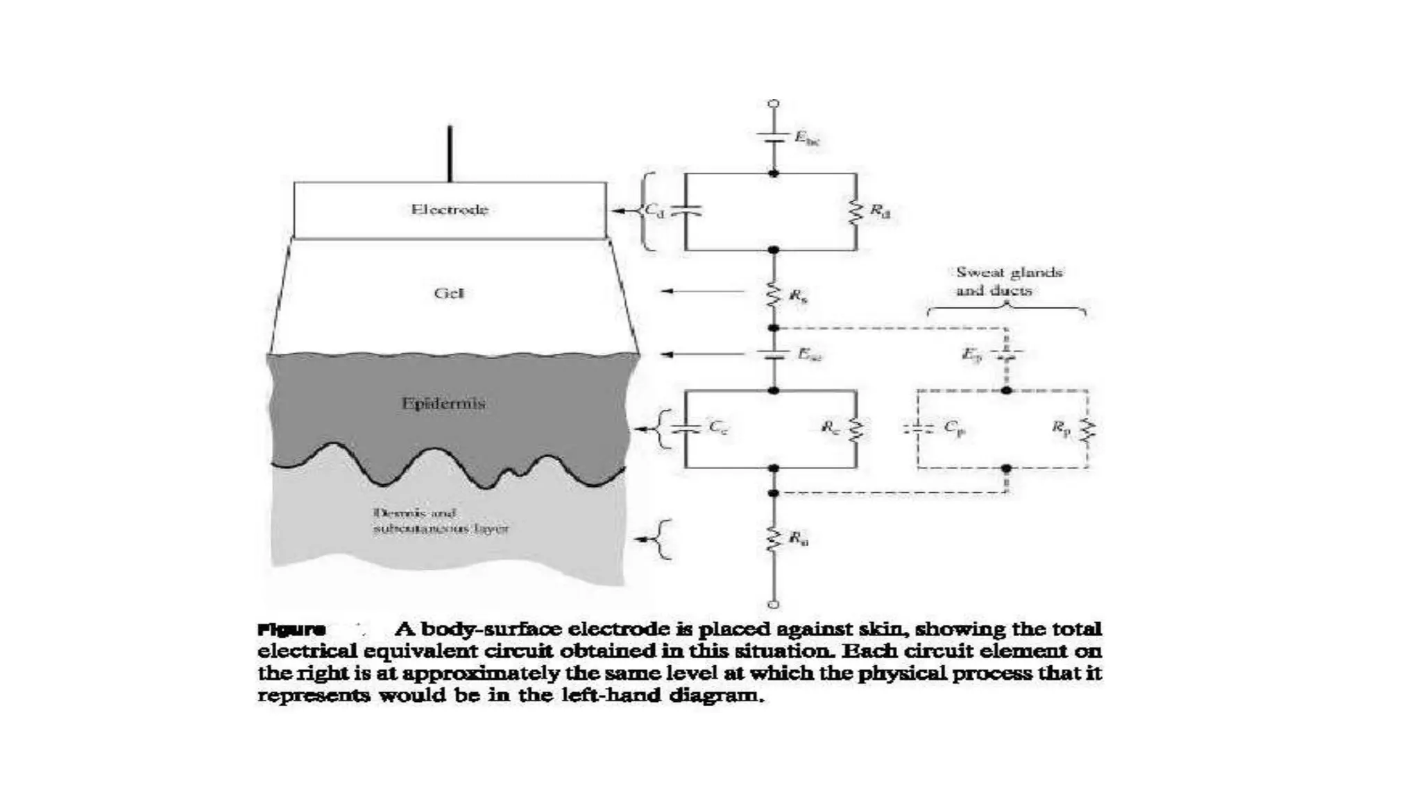 Bio Potential Generation and Bio Electrode.pptx