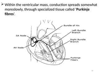 BIOPOTENTIAL RECORDERS(ECG,EEG,EMG)EXPLANATION | PPTX