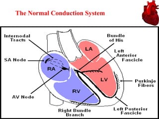 BIOPOTENTIAL RECORDERS(ECG,EEG,EMG)EXPLANATION | PPTX