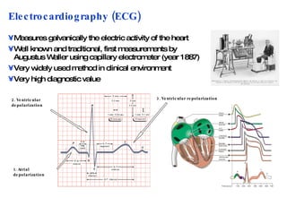 Biopotentials | PPT