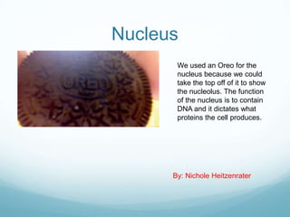 Nerdy Kittens Edible Cell Project | PPT