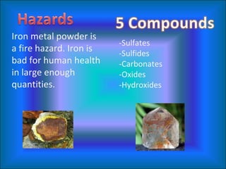 Bio Powerpoint | PPT