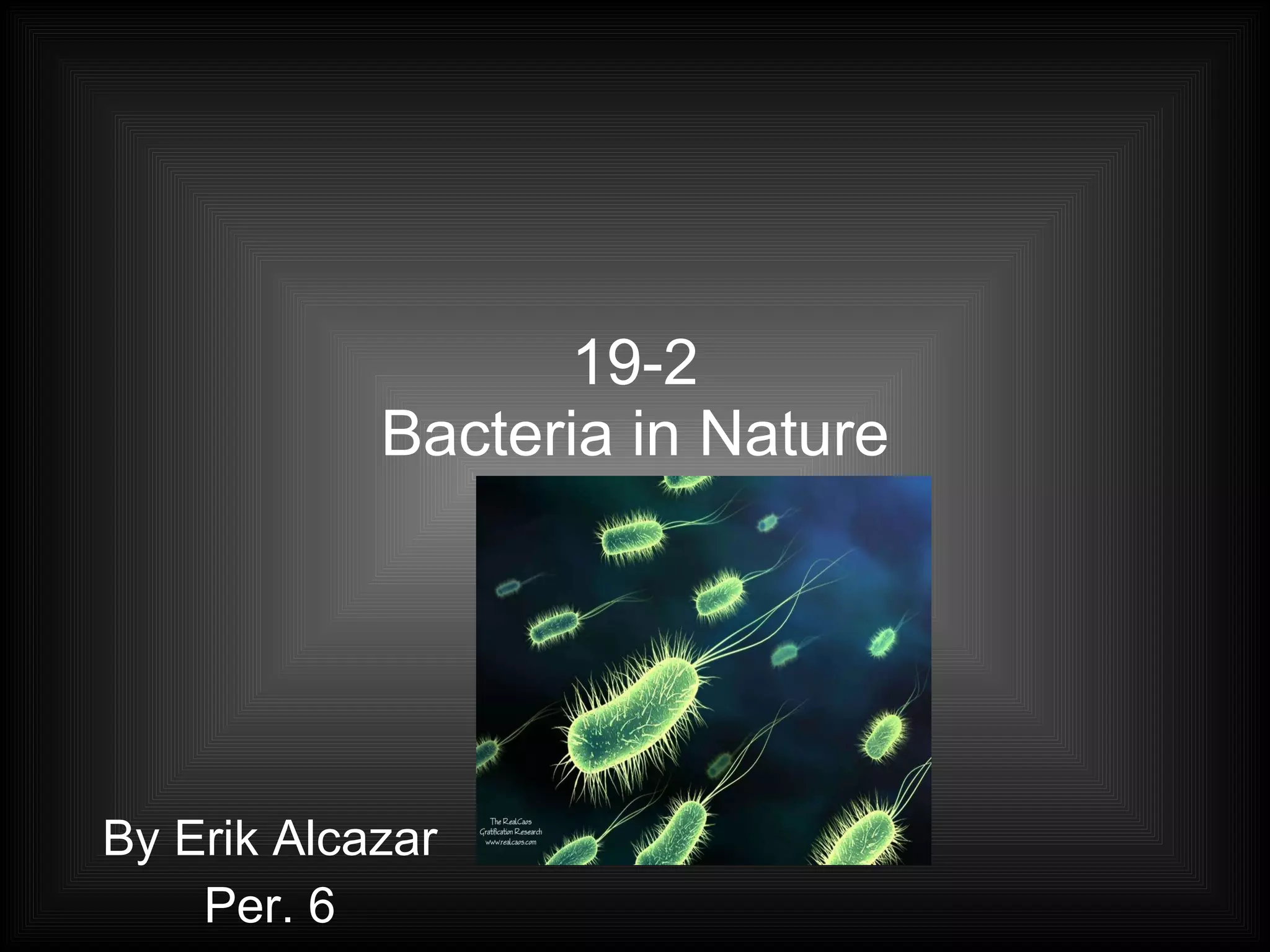 Bio Powerpoint | PPT